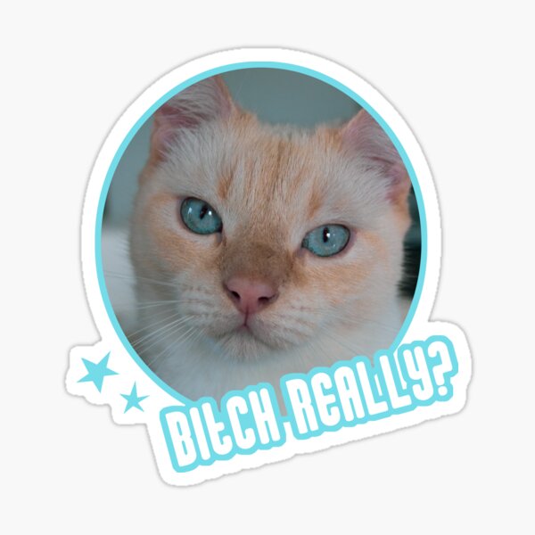 "Bitch Really?" Sticker by GryphDesigns | Redbubble