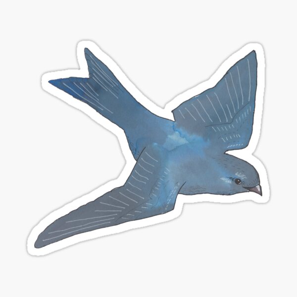 "Purple Martin bird" Sticker for Sale by TheWaterBirds | Redbubble