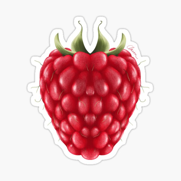 "Raspberry" Sticker for Sale by ClaimDesign | Redbubble