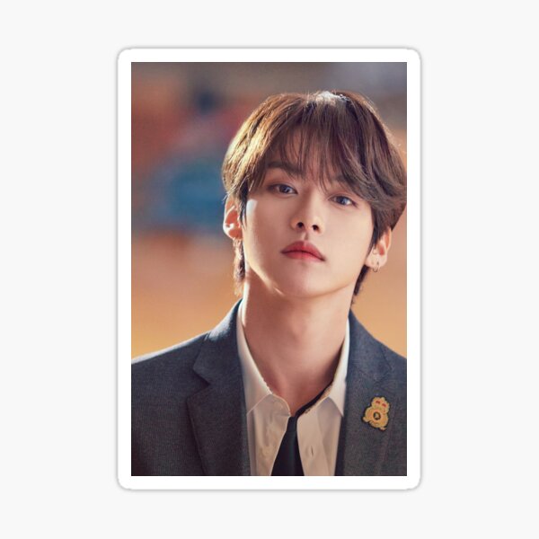 "Stray Kids Lee Know" Sticker by skzbeom | Redbubble