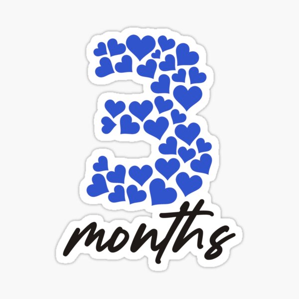 "gift idea for 3 month boy" Sticker for Sale by WOWSOMETHINGNEW | Redbubble
