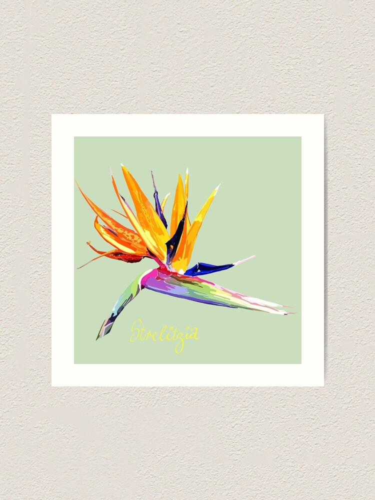 "Strelitzia" Art Print by michdevilish | Redbubble