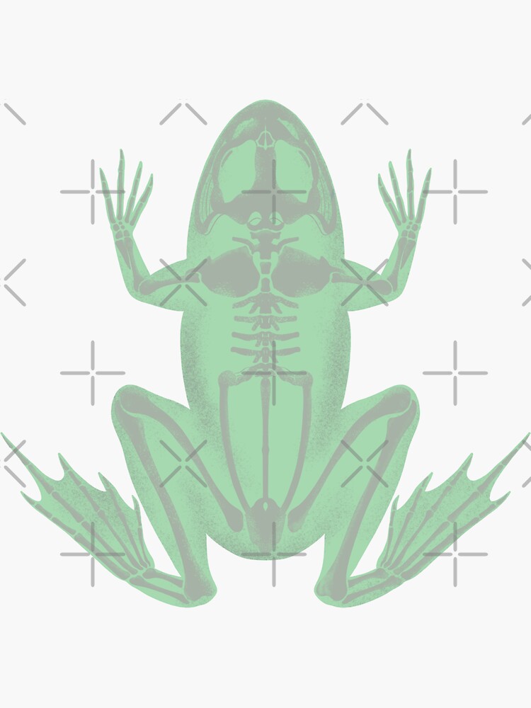 "Toad " Sticker by Arslan23 | Redbubble