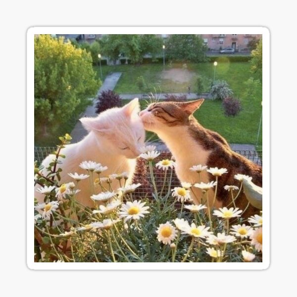 "Cottage core cats" Sticker for Sale by Crunchypaper | Redbubble