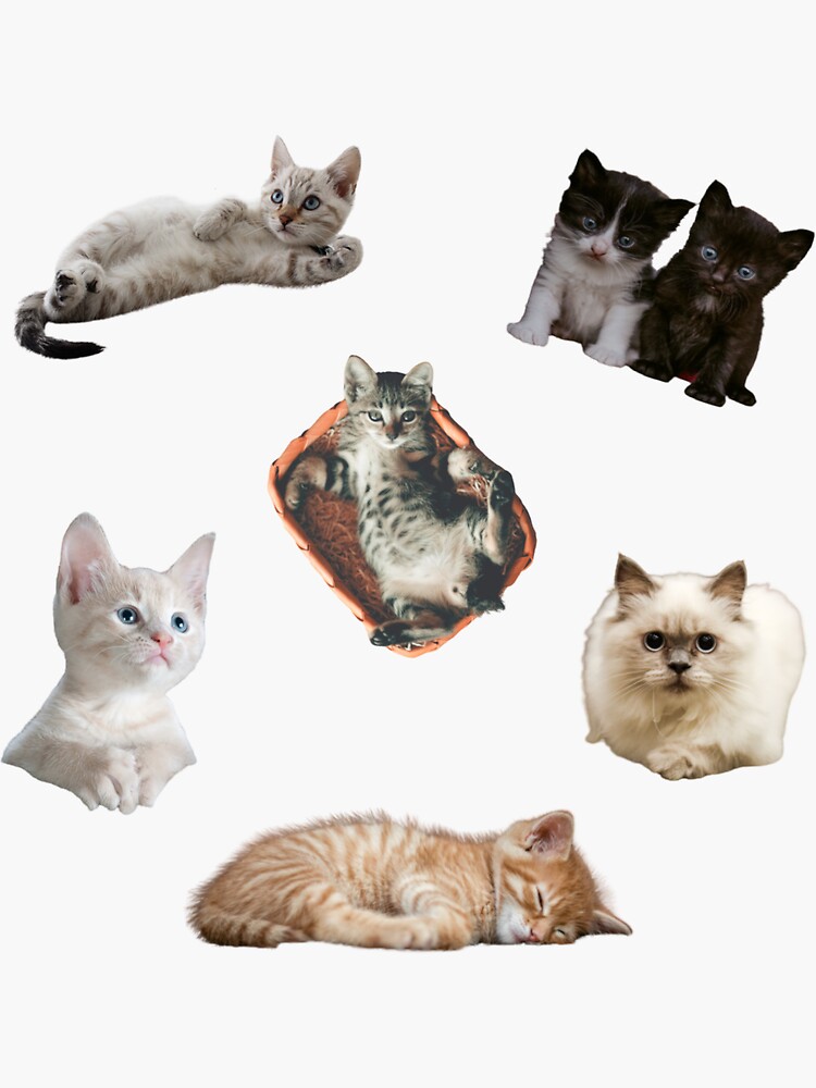 "Cute Kittens sticker pack" Sticker for Sale by simzzuk | Redbubble