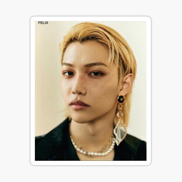 "Felix Stray kids" Sticker for Sale by chalametcurls | Redbubble