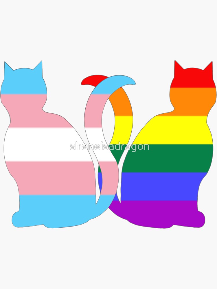 Gay Trans Pride Cats Sticker For Sale By Shaneisadragon Redbubble