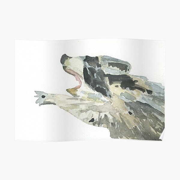 Póster «Saludo de mapache» de ellenmueller | Redbubble