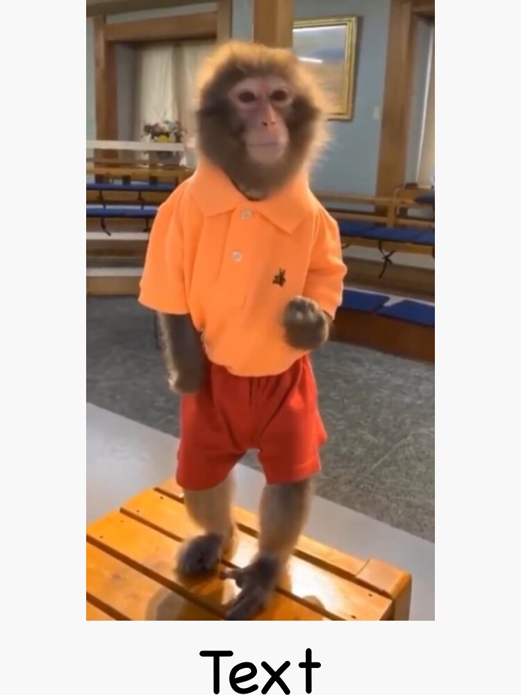 "Monkey Drip Text" Sticker for Sale by a-a-a-a | Redbubble