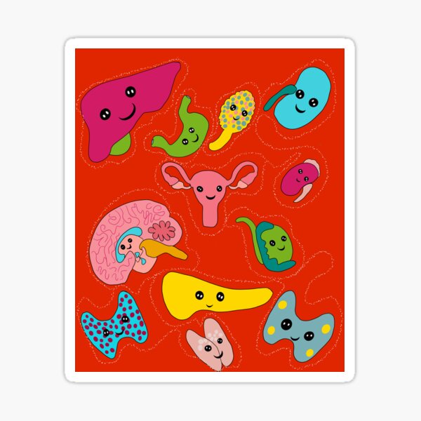 "SaratopiaArt Endocrine System " Sticker by Saratopia | Redbubble
