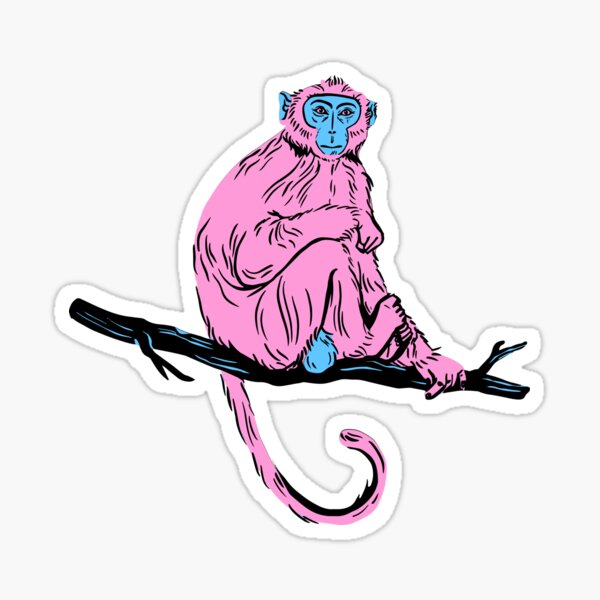 "Transgender Monkey Sitting On a Branch" Sticker by eldyyn | Redbubble