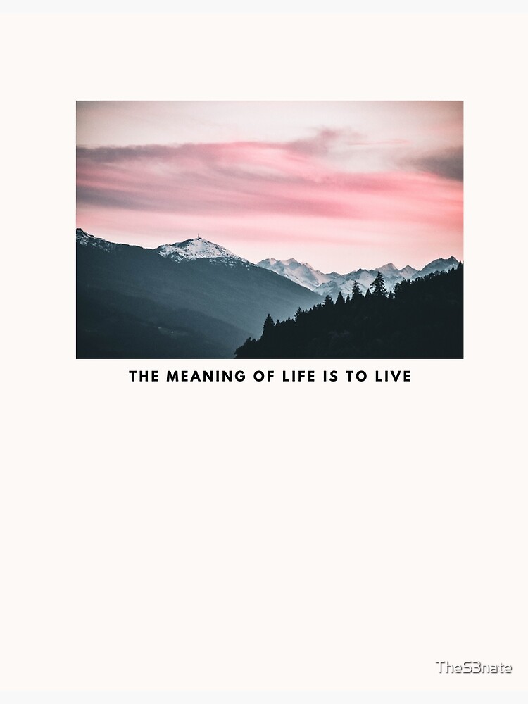 "The meaning of life " Poster for Sale by TheS3nate | Redbubble