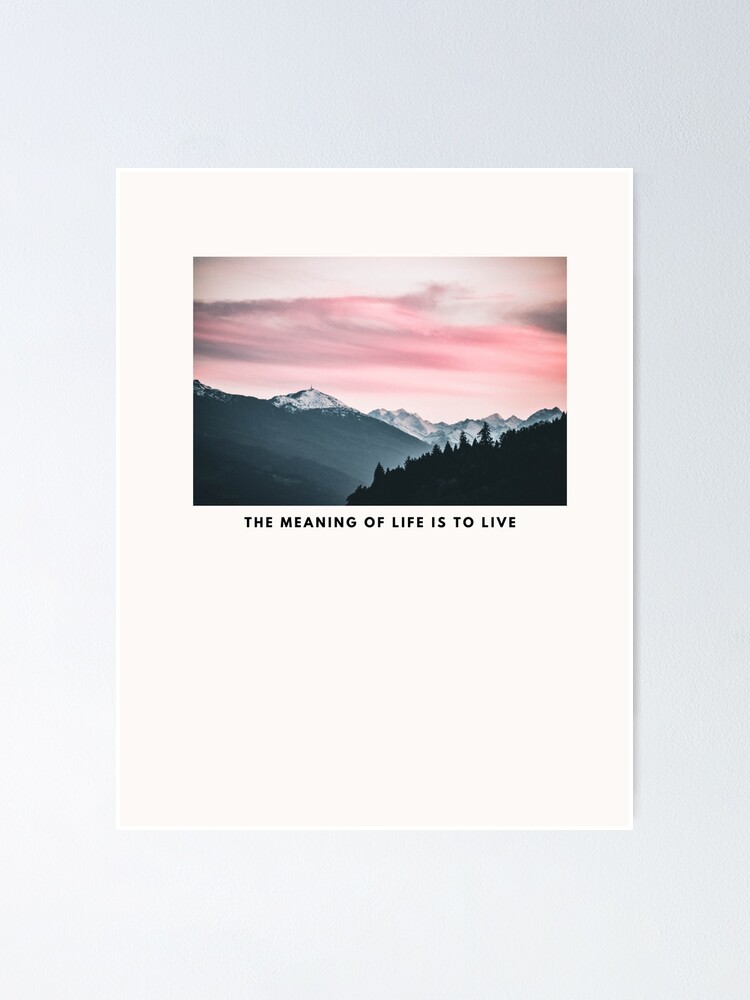 "The meaning of life " Poster for Sale by TheS3nate | Redbubble