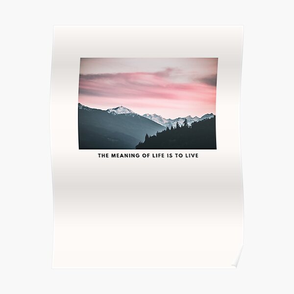 "The meaning of life " Poster for Sale by TheS3nate | Redbubble