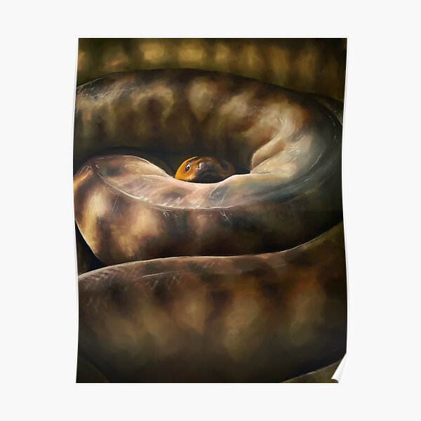 "Woma Python" Poster for Sale by tyrannart | Redbubble
