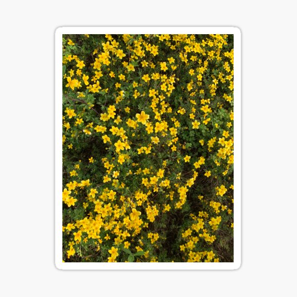 "Cute Yellow Flowers " Sticker by PresentsGal0re | Redbubble