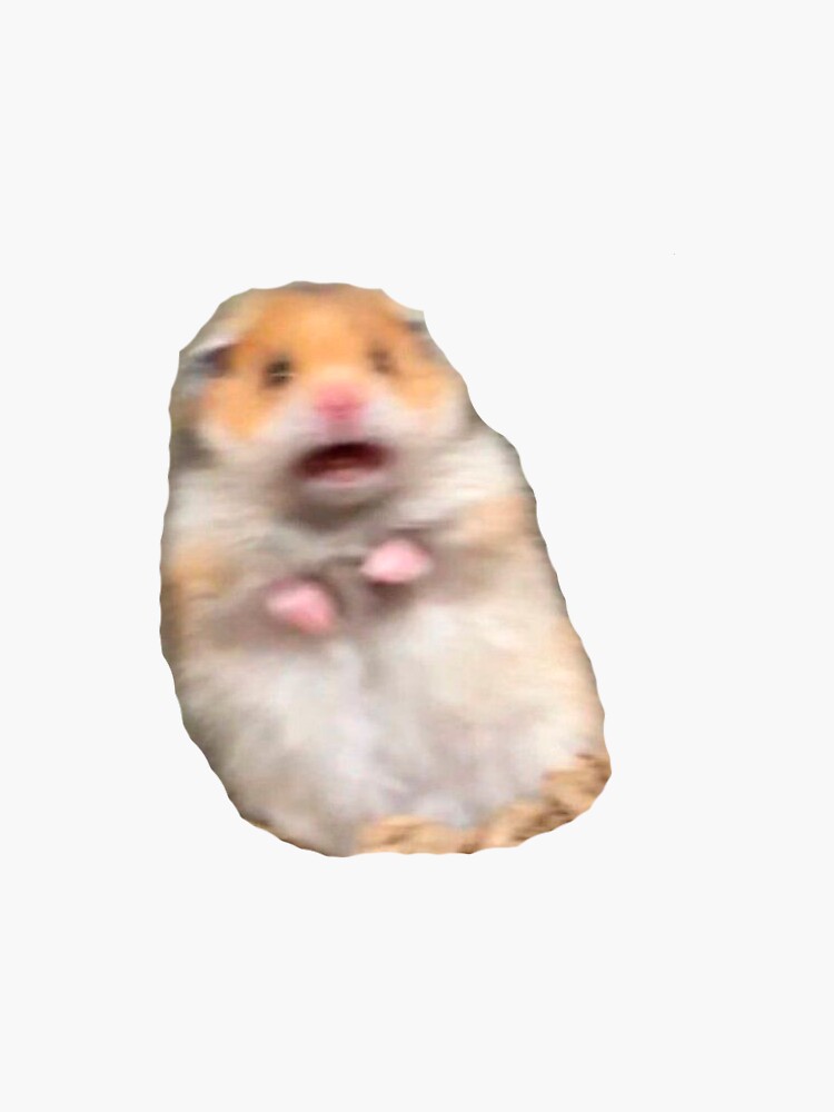 "Scared Hamster Meme" Sticker by valwerty | Redbubble