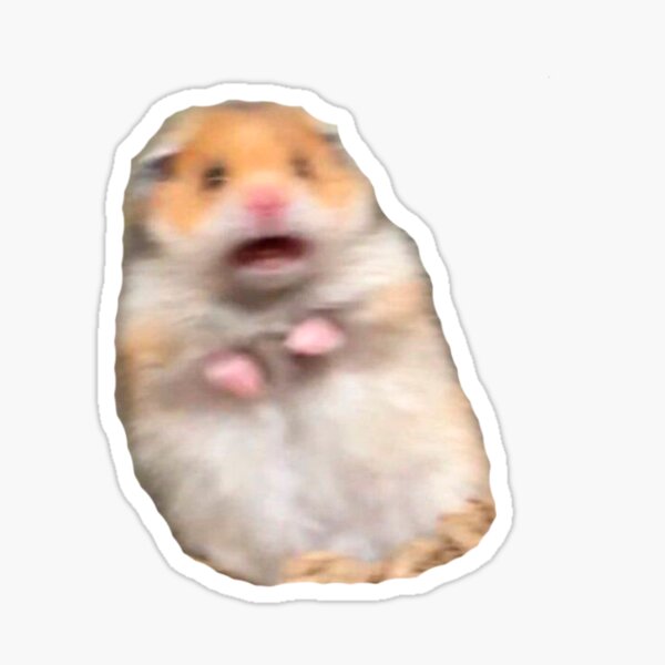 "Scared Hamster Meme" Sticker by valwerty | Redbubble