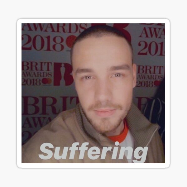 "Liam meme" Sticker by acenright | Redbubble