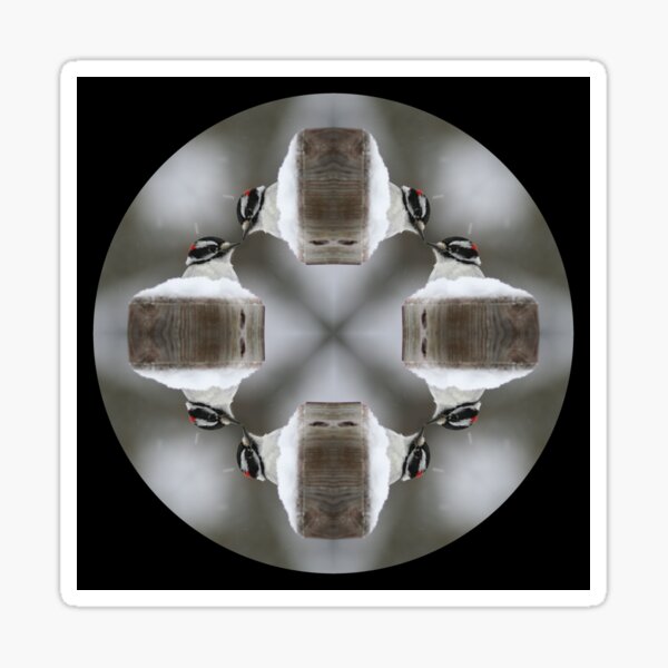 "Downy Woodpecker Peeking" Sticker by KaleidoTease | Redbubble