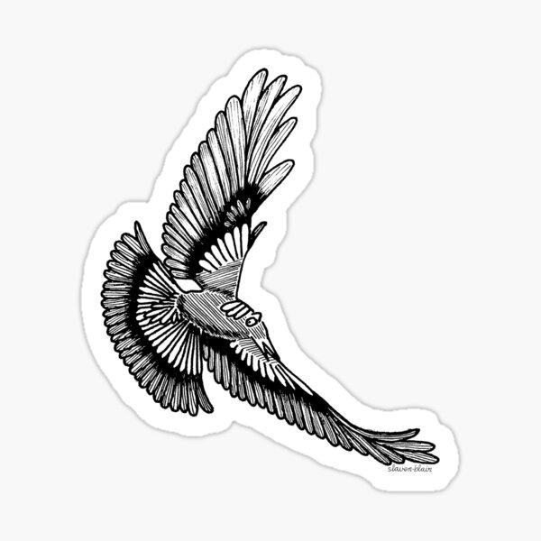 "Swooping Magpie" Sticker by enslavingblair | Redbubble
