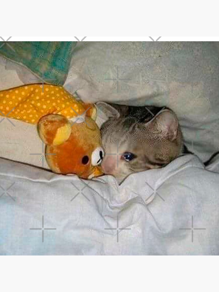 Sad Cute Meme