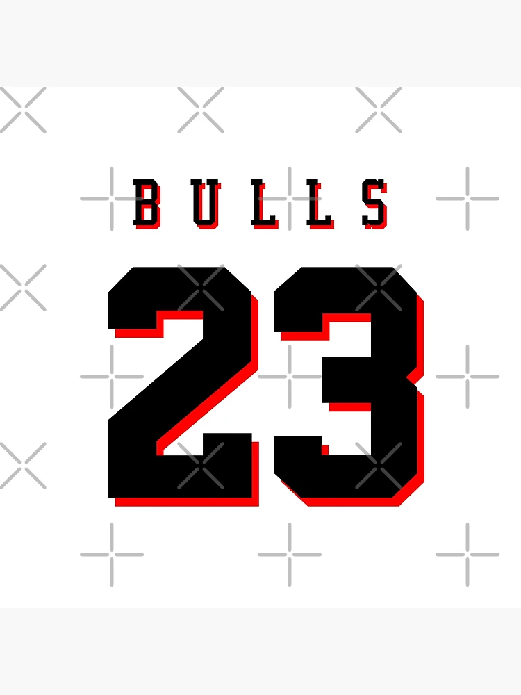 23 Bulls Logo Chicago Bulls Michael Jordan Hand Signed Autographed