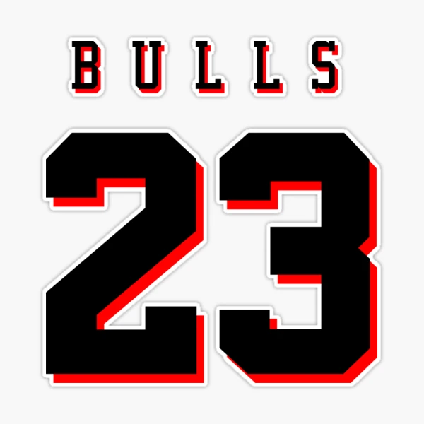 23 Bulls Logo Chicago Bulls Michael Jordan Hand Signed Autographed