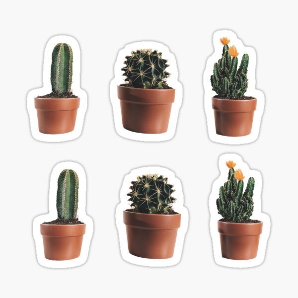 "Cactus Cacti Sticker Pack" Sticker for Sale by CentralDesignz | Redbubble