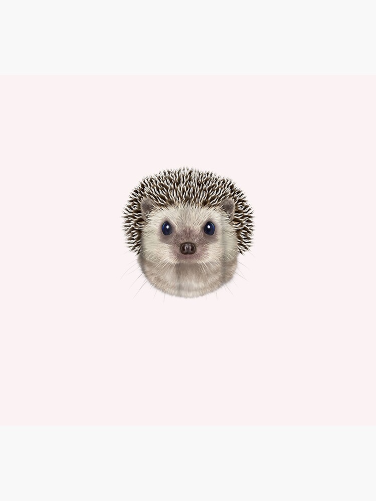 "Cute Hedgehog Face" Poster by YolandaRoberts | Redbubble