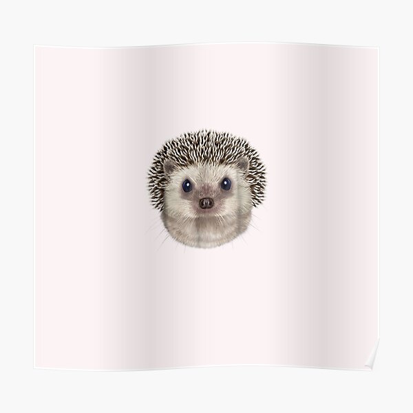 "Cute Hedgehog Face" Poster by YolandaRoberts | Redbubble