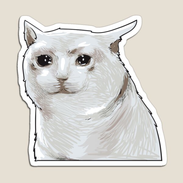 "Sad Crying Cat Dank Meme" Magnet for Sale by Hitagivapor | Redbubble