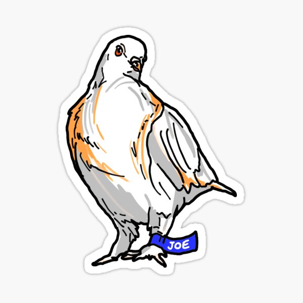"Joe the Pigeon T-Shirt - USA to Australia Joe the Pigeon Meme ...
