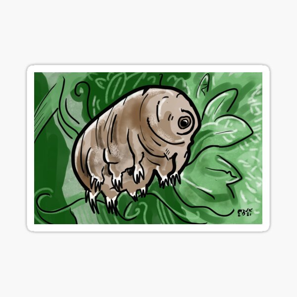 "Tardigrade" Sticker by Mayeska | Redbubble