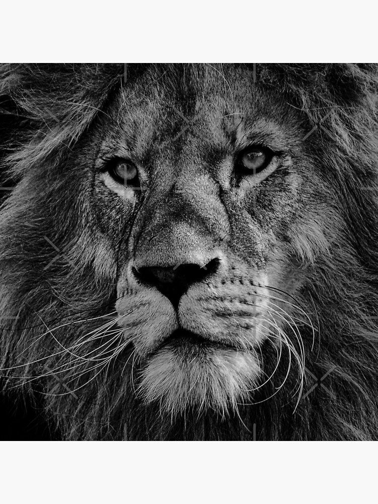 Lámina artística «Rey de la jungla Lion Face Leo Zodiac Op Art en ...