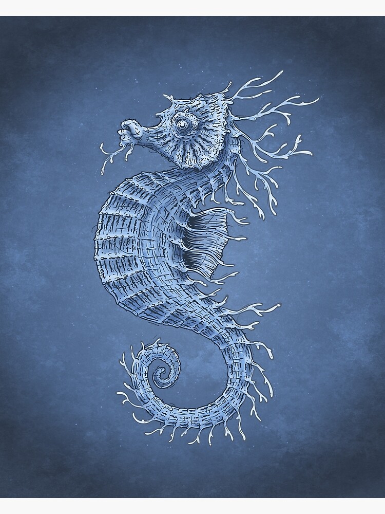 "Seahorse" Poster for Sale by Motivburg | Redbubble