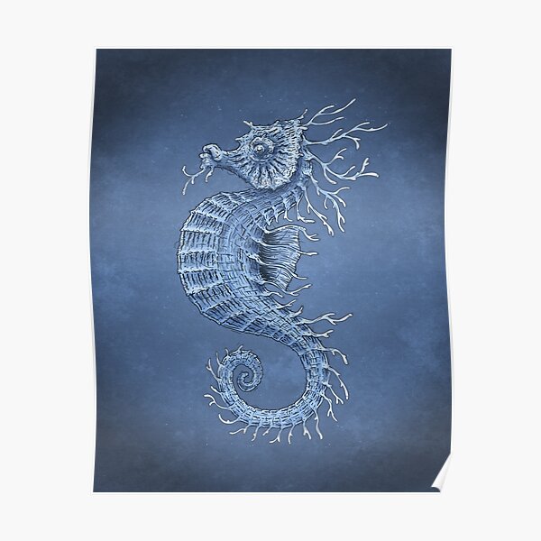 "Seahorse" Poster for Sale by Motivburg | Redbubble