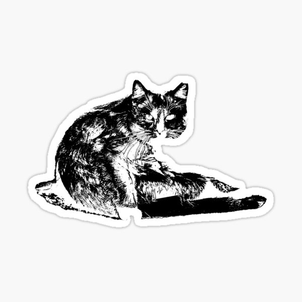 "Grumpy Cat 2" Sticker by Lmsorenson | Redbubble