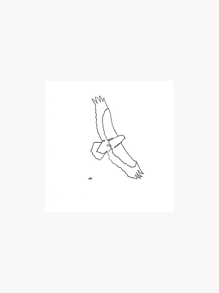 "One Line Hawk" Sticker for Sale by Ahatfield99 | Redbubble