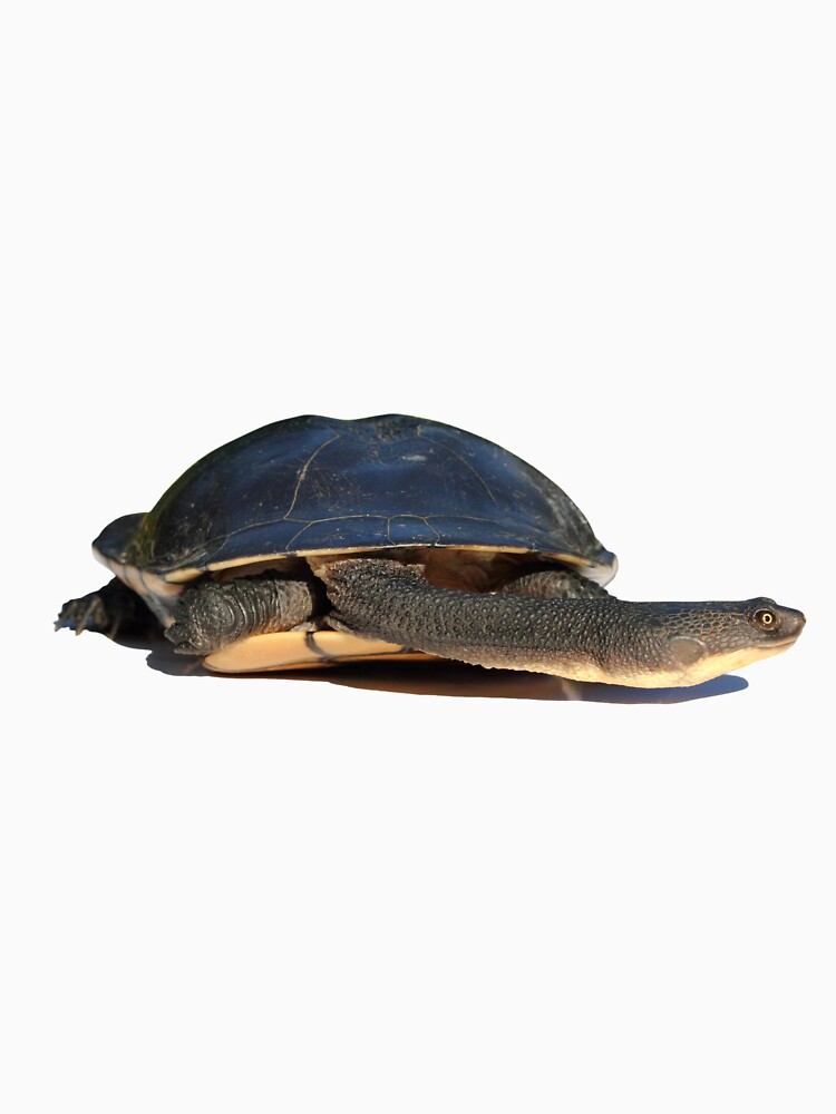 "Eastern Long-necked Turtle (Chelodina longicollis)" Classic T-Shirt ...