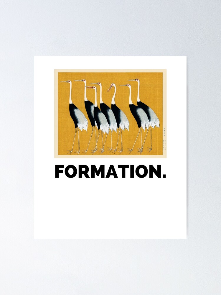 "Formation" Poster for Sale by Kokoef | Redbubble