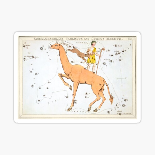 "Antique Constellation Map of Camelopardalis, Tarandus, Custos Messium ...