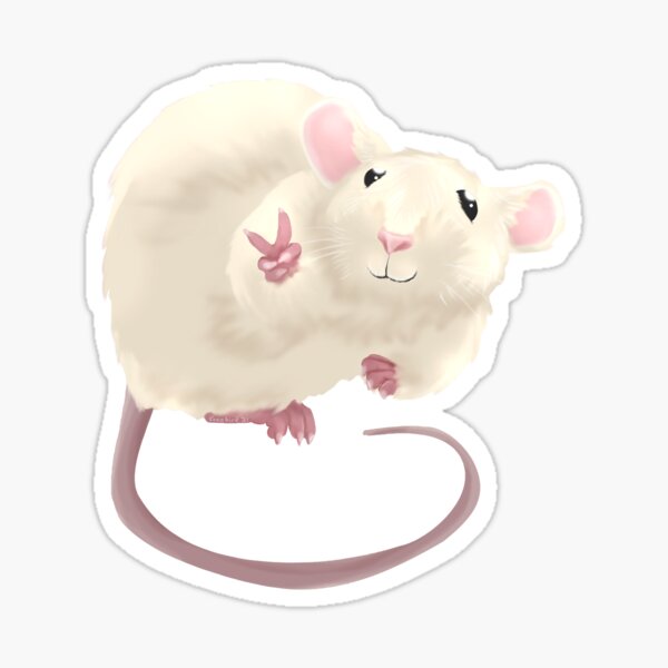 koo-bird Shop | Redbubble