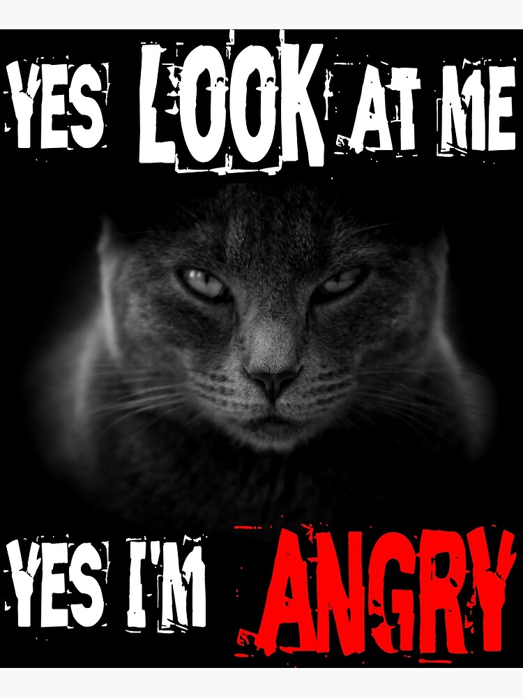 "ANGRY" Poster by Nirmouv | Redbubble