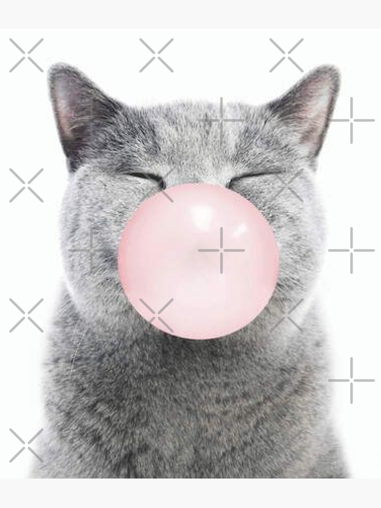 "cat chewing a pink bubble gum" Sticker for Sale by magic-happens ...