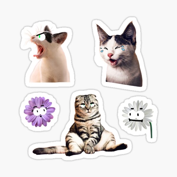 "cat and flower stickers" Sticker for Sale by Kaiserka-art | Redbubble