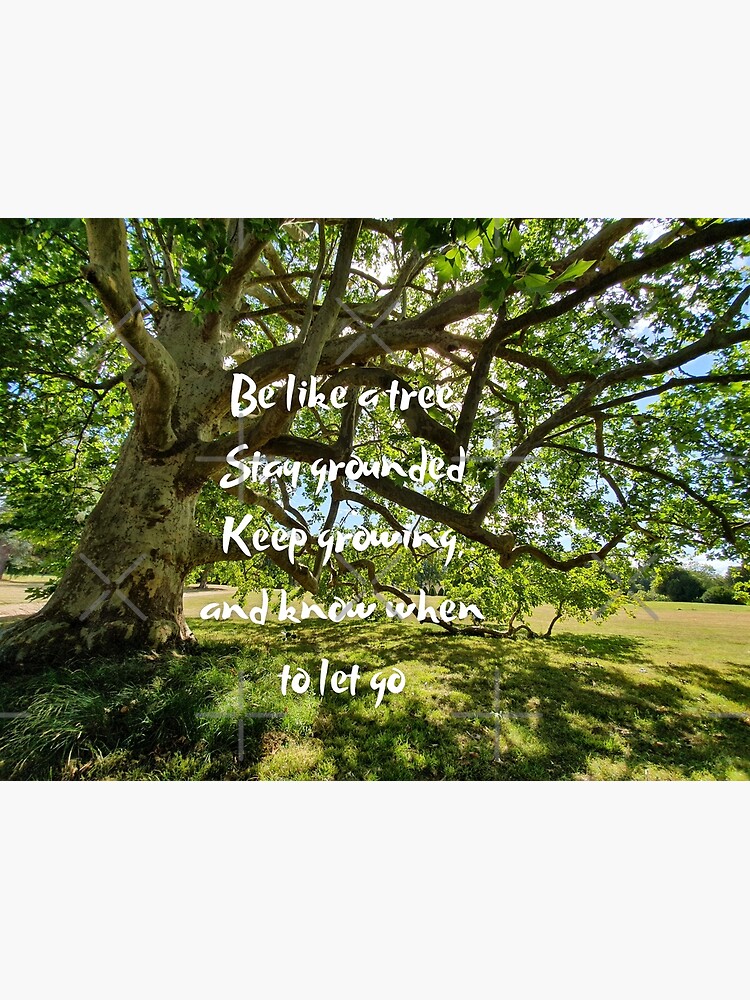 "Be like a tree: stay grounded, keep growing, and know when to let go ...