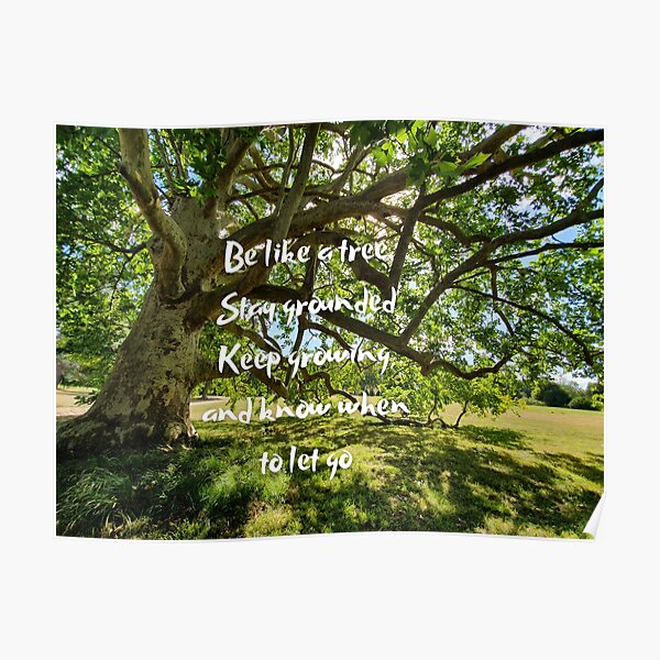 "Be like a tree: stay grounded, keep growing, and know when to let go ...