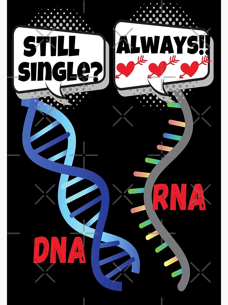 "STILL SINGLE? DNA ALWAYS RNA FUNNY MEDICAL LABORATORY SCIENTIST ...