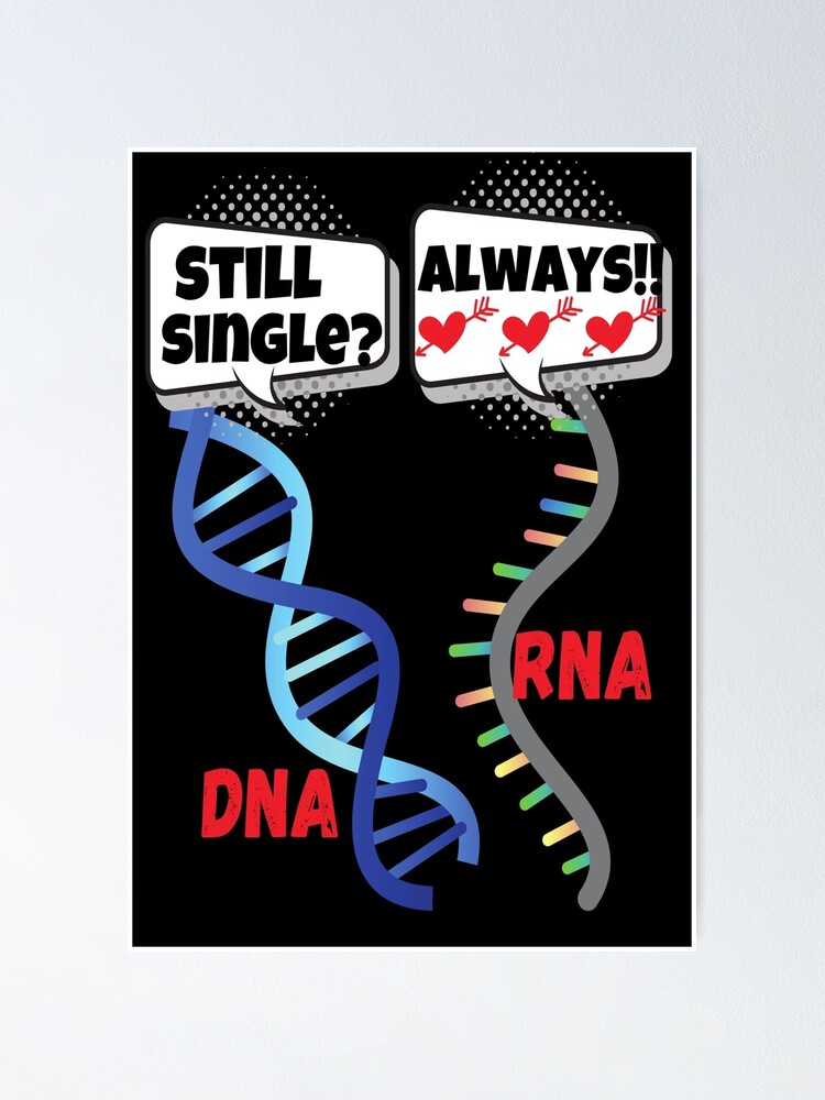 "STILL SINGLE? DNA ALWAYS RNA FUNNY MEDICAL LABORATORY SCIENTIST ...